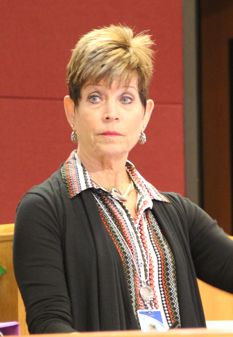 Circuit Court judge agrees to put Board of Zoning appeals case on hold ...