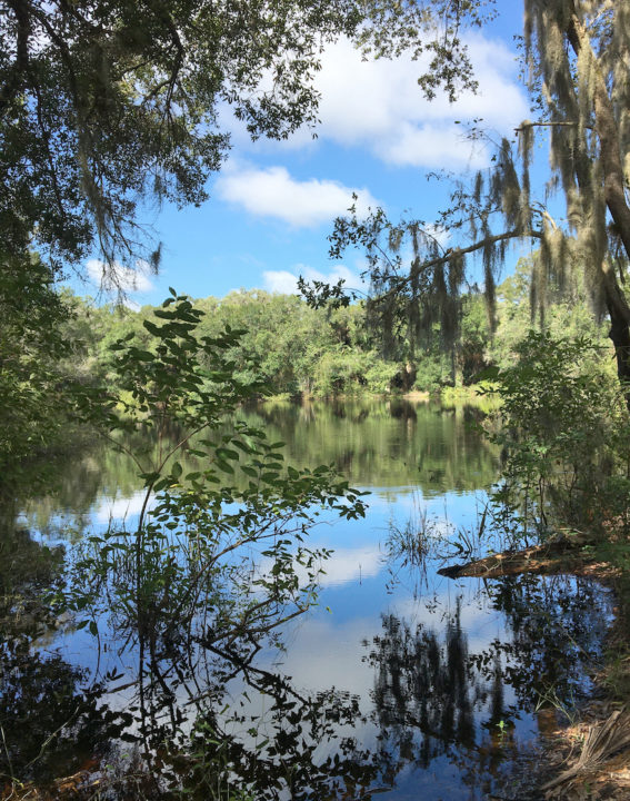 Photo essay: Florida’s Alps