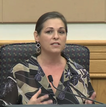 New committee of Sarasota County Charter Review Board to study ...