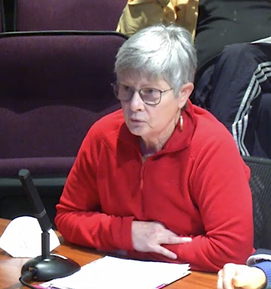 Mary Furst PREP board chair at SCC Jan. 18 2022 – SARASOTA NEWS LEADER