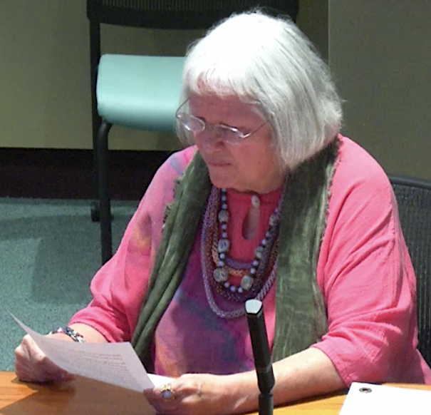 Nancy Goodheart Matthews reads statement about Thorpe Park to SCC Jan ...