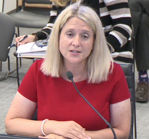 Renee Di Pilato at BCC Budget Workshop June 23 2022 TV – SARASOTA NEWS ...